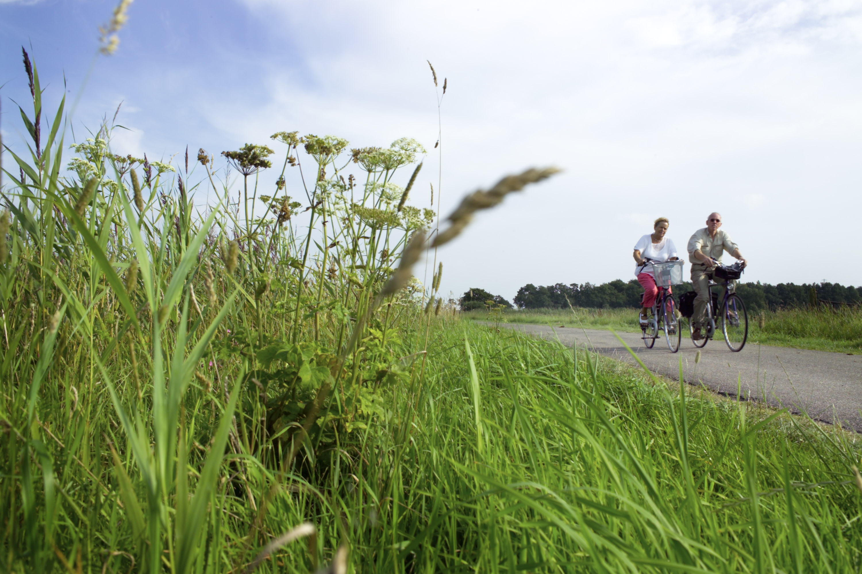 Fietsroute Groningen, Onlanden en Kardinge | Natuurmonumenten Fietsroute Groningen, Onlanden en Kardinge | Natuurmonumenten